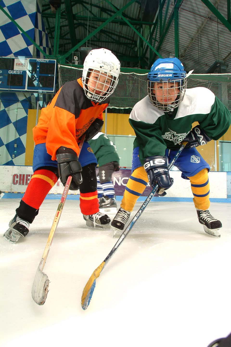 Chelsea Piers Sky Rink - Ice Skating Rinks in New York NY