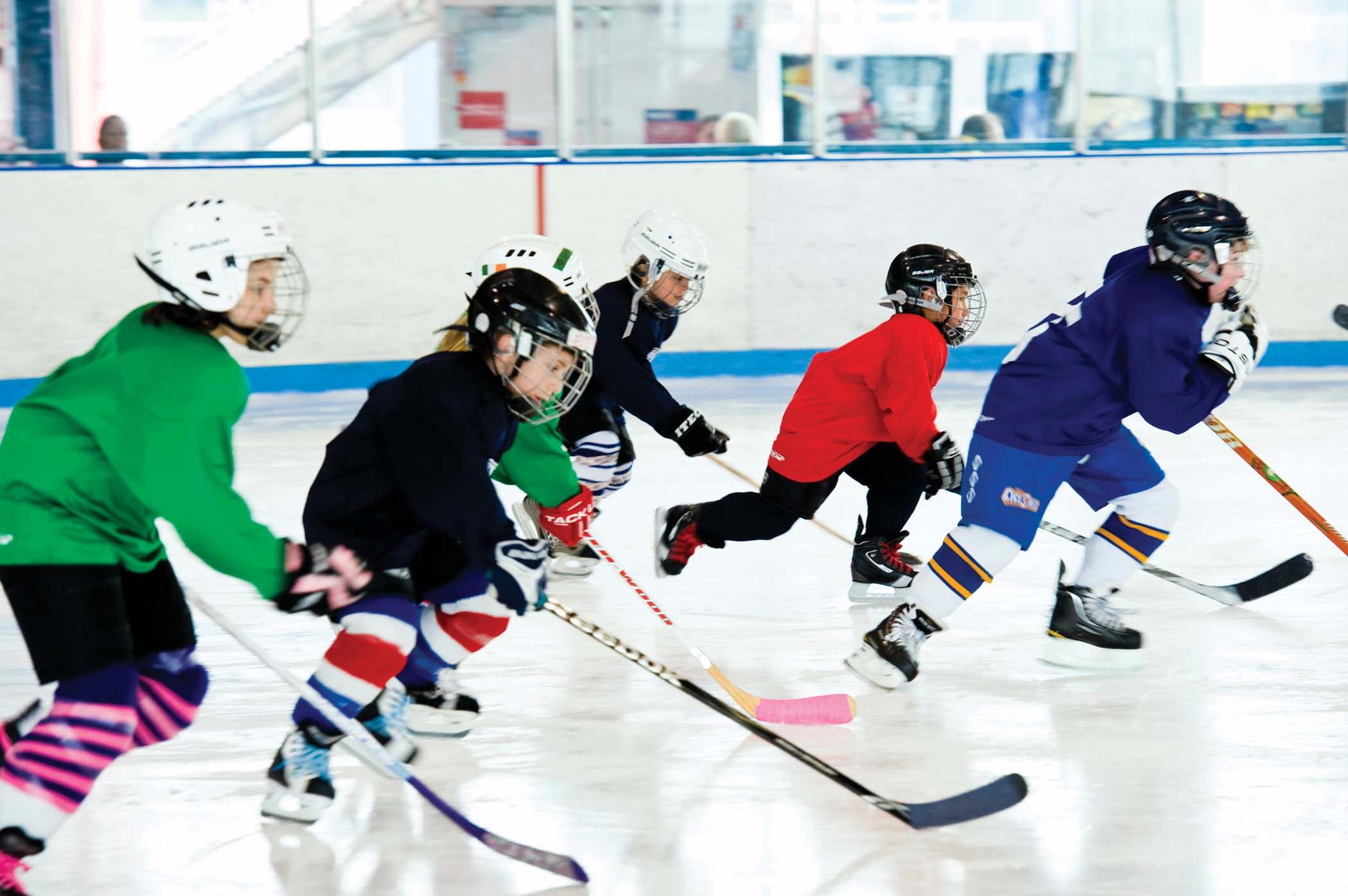 Chelsea Piers Sky Rink - Ice Skating Rinks in New York NY
