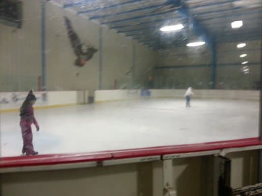 The Ice Factory of Central Florida – Skating Rinks Near Me
