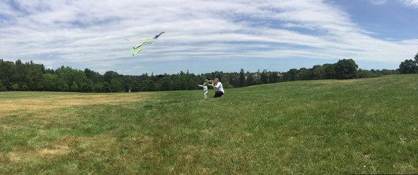 Larz Anderson Park – Skating Rinks Near Me